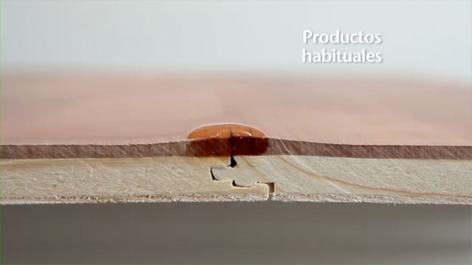 Emsal Floor para Pisos de Madera – Emsal Mexico
